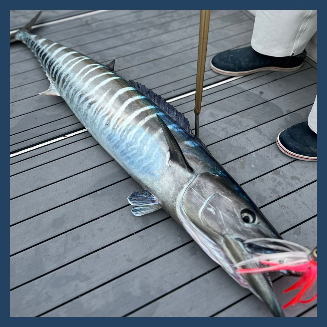 Small Boat Wahoo Fishing in the Gulf of Mexico – SORD Fishing Products