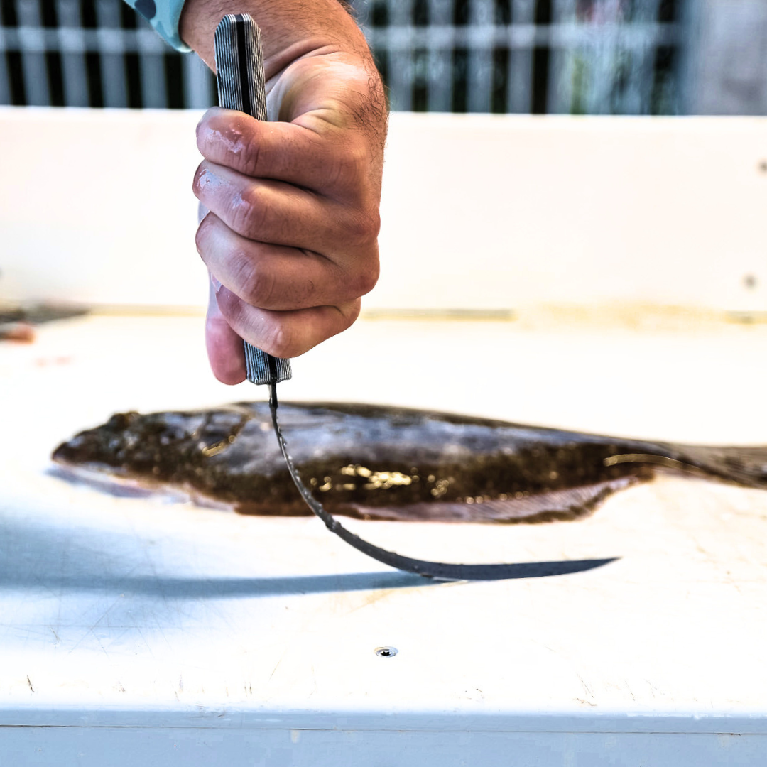 SORD Fishing Products | Fillet Knives, Titanium Pliers, and More