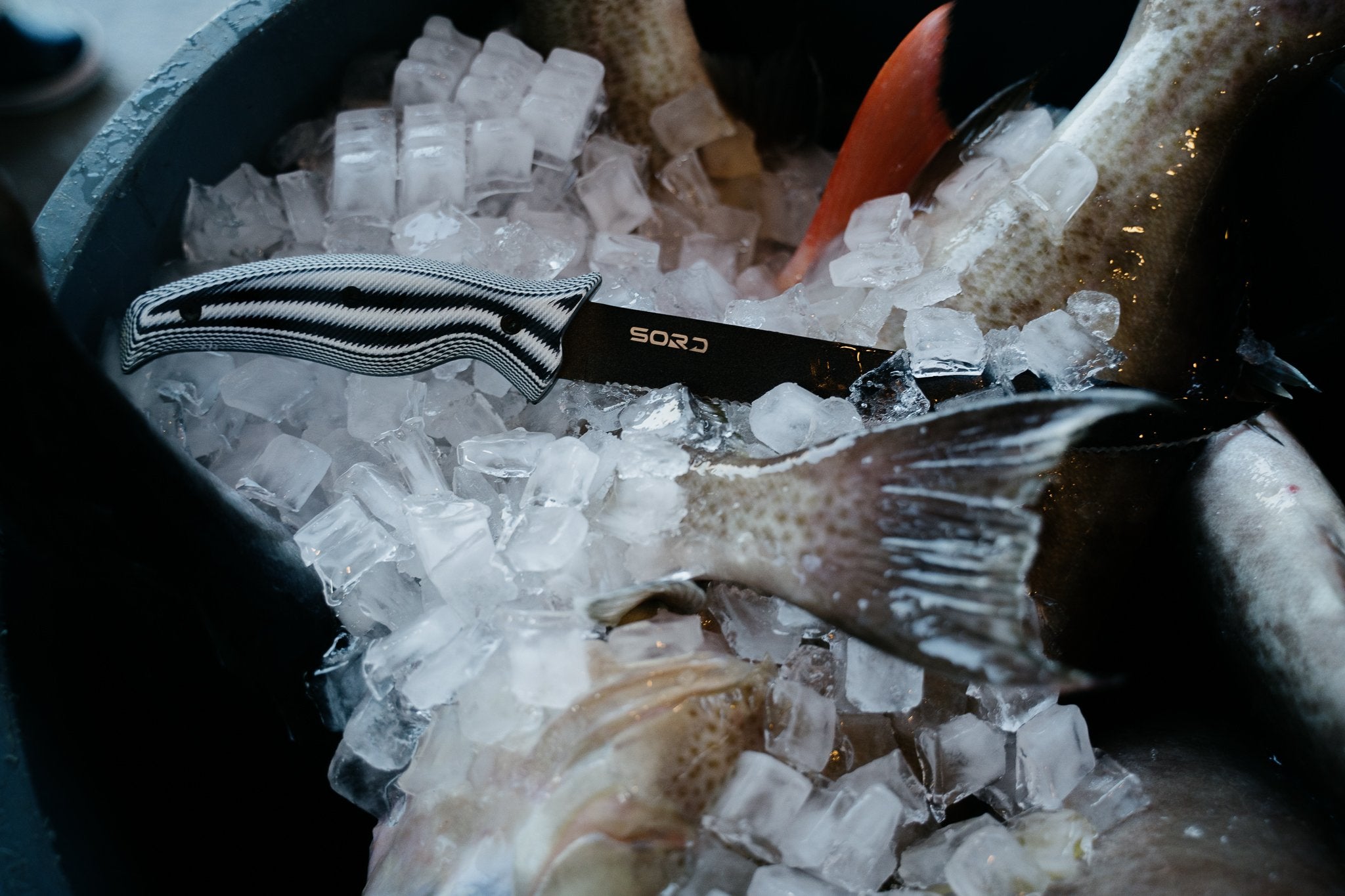 9" Serrated Blade – SORD Fishing Products