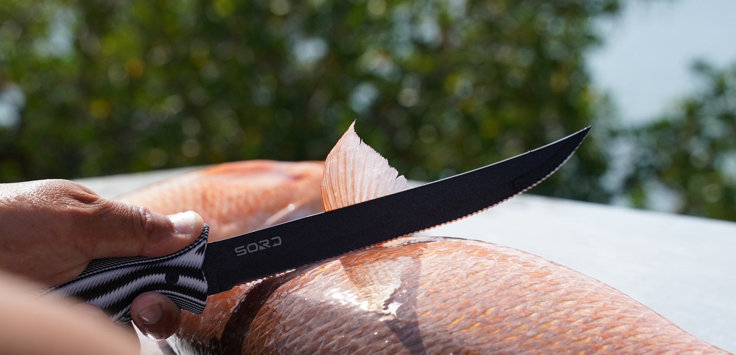 9" Serrated Blade – SORD Fishing Products